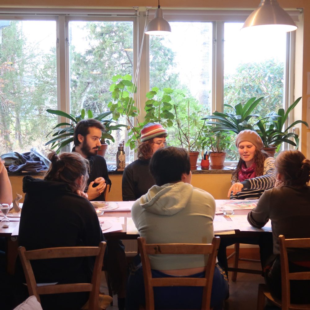 YIP - The International Youth Initiative Program